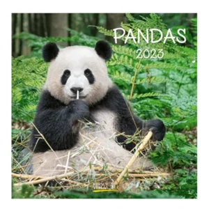 Kalender - 2023 - Panda's - 30x30cm - Agenda's & Kalenders - Shopa